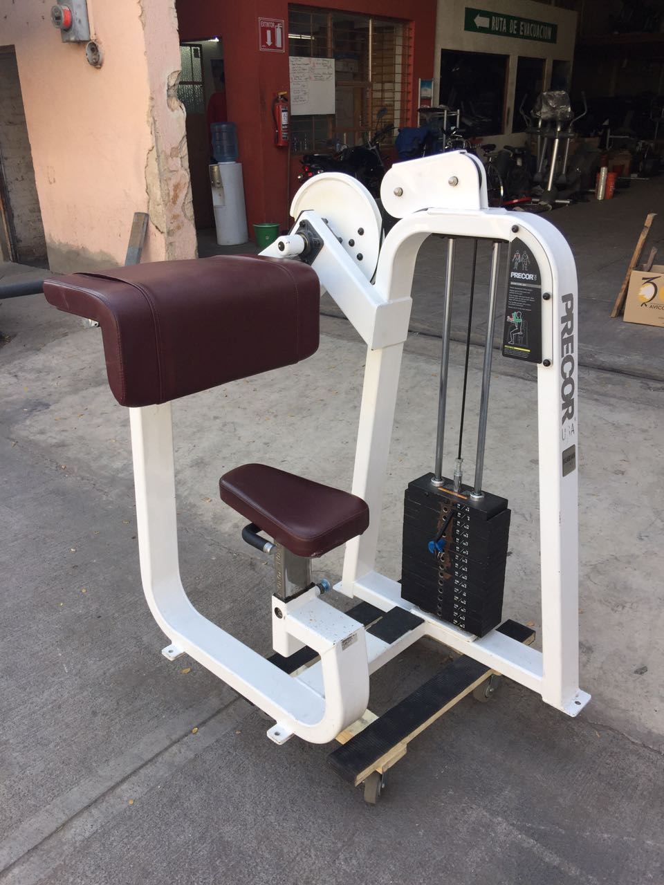 Precor Icarian Biceps Curl – Equipos Para Gym Steelman